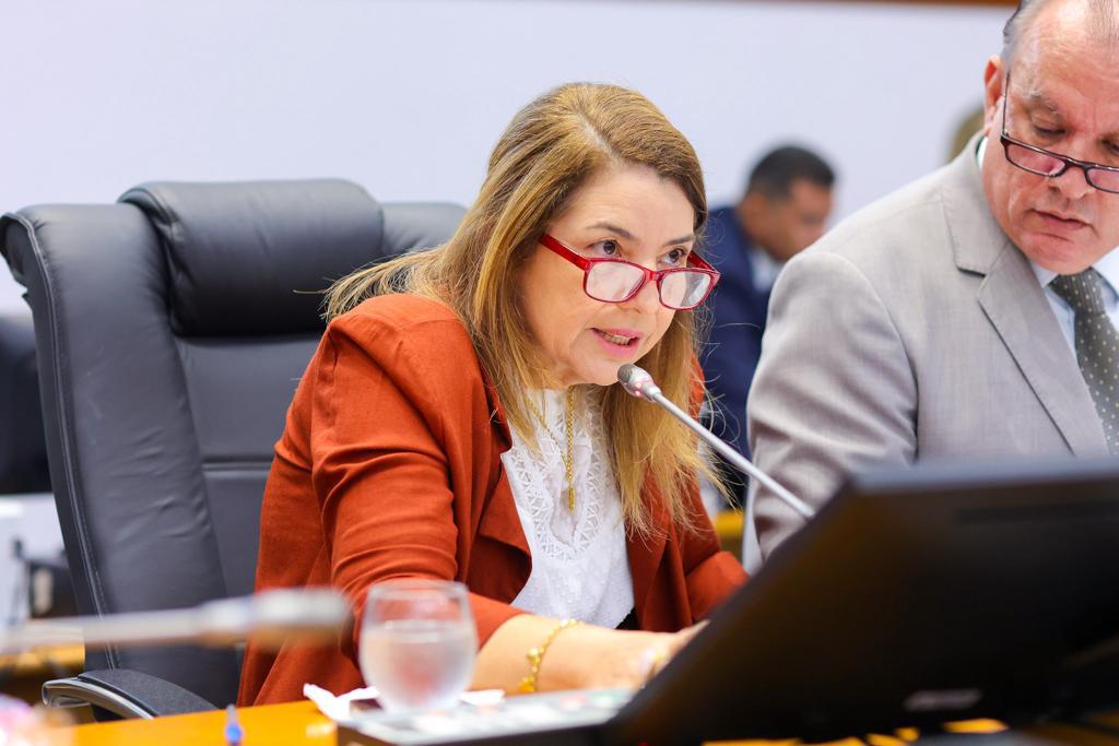 Presidente Iracema Vale destaca alta produtividade da Assembleia ...